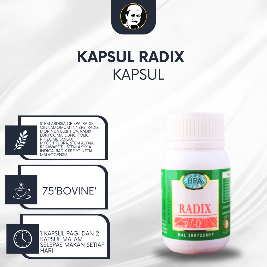 Kapsul Radix